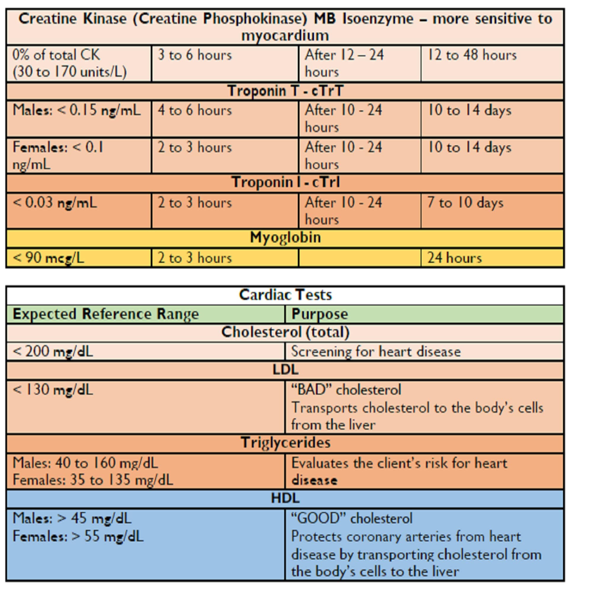 Colorful Cardiac Nursing Study Guide 28 Pages PDF Instant Digital ...