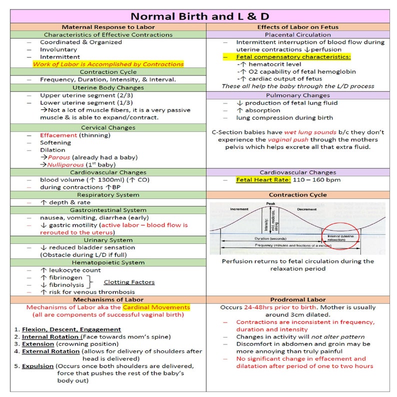 Normal Birth Labor and Delivery Study Notes 4 Pages - Etsy
