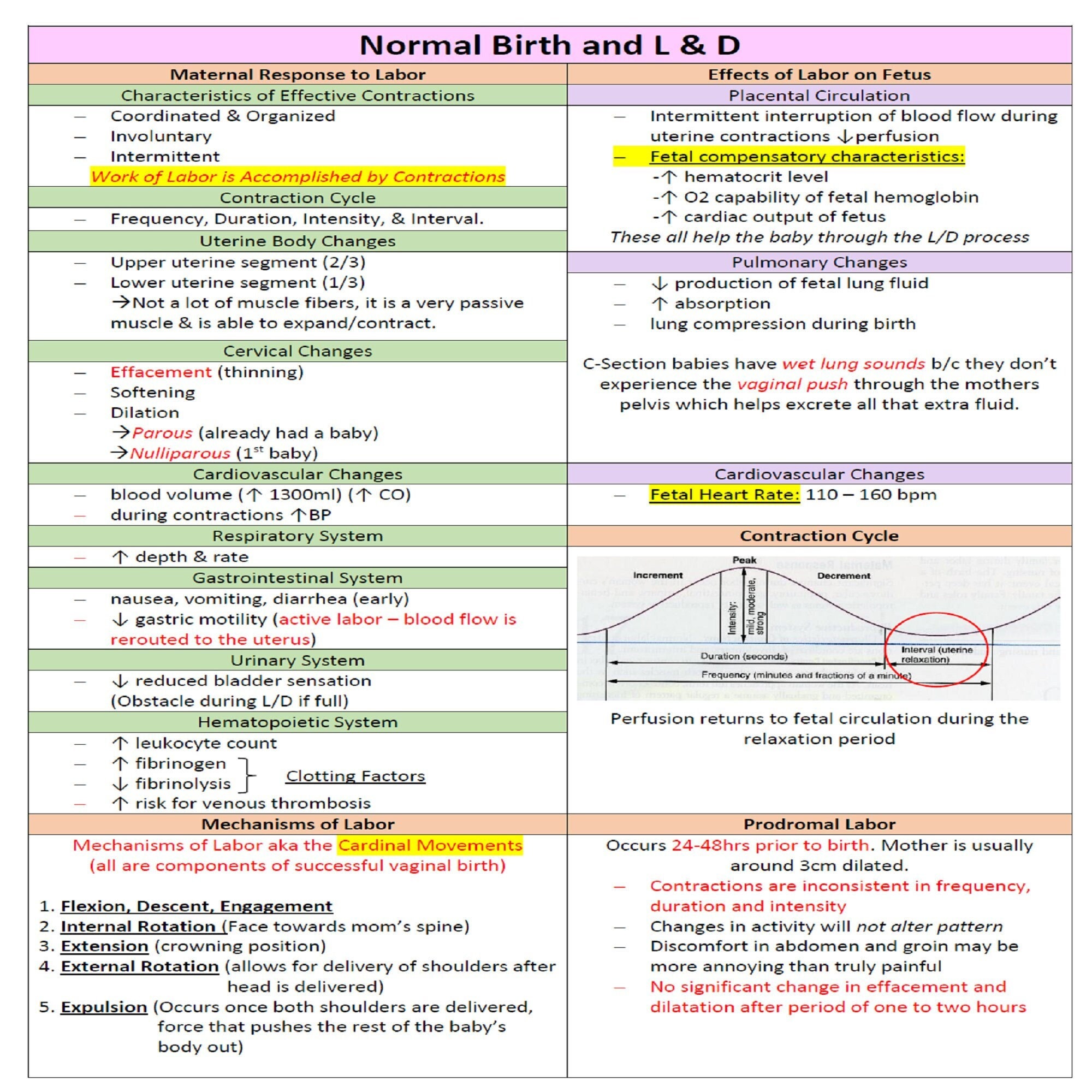 Normal Birth Labor and Delivery Study Notes 4 Pages - Etsy