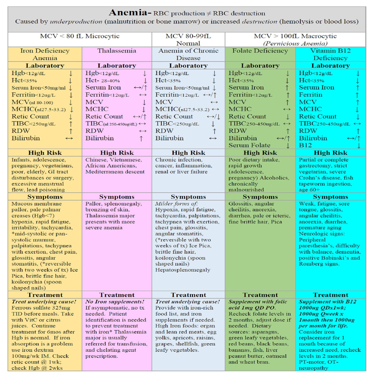 Anemia Flow Chart 1 Page Very Colorful Advanced Pathology - Etsy