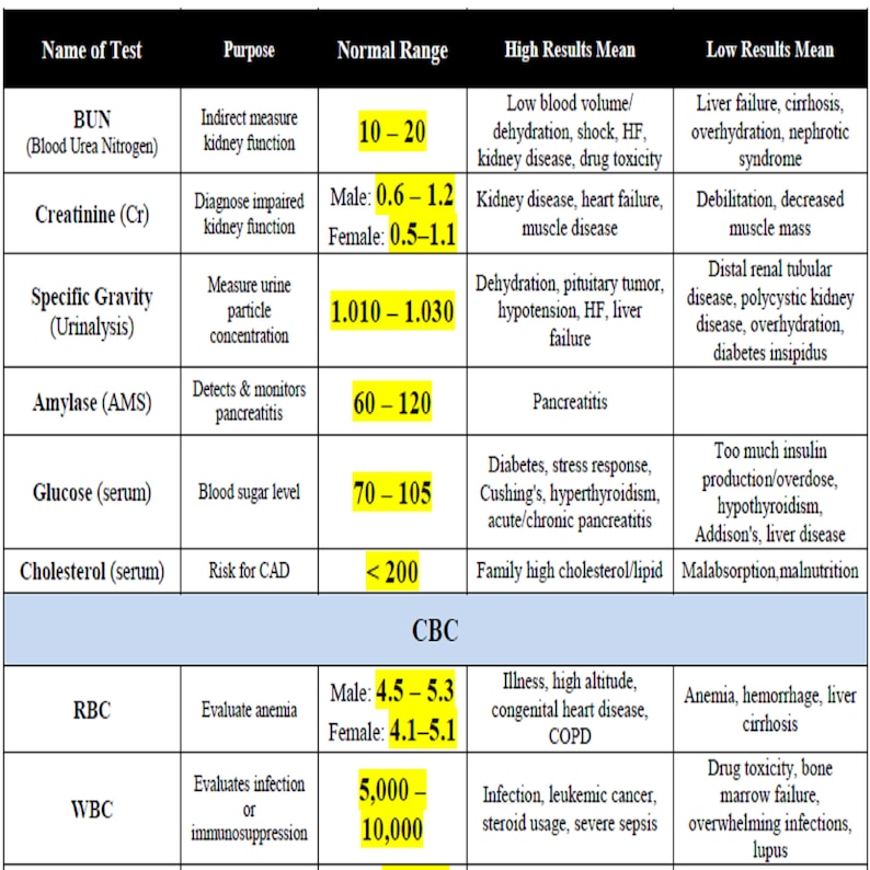 Must Know for Any Nurse LAB VALUES Plus High Low Meaning , Printable ...