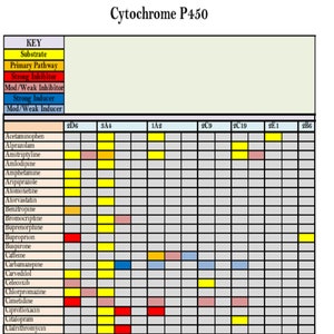 PMHNP Quick Review and Cheat Sheets Your Must Know for Exam 10+ Pages ...