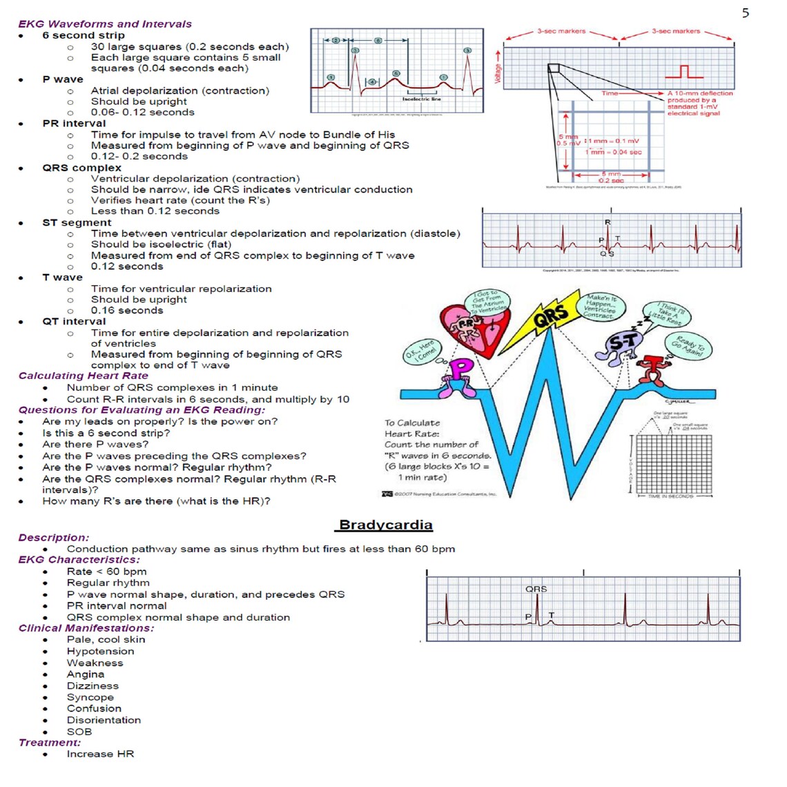 Amazing RN Cardiology Unit Notes 20 Pages I Got A on My Exam - Etsy