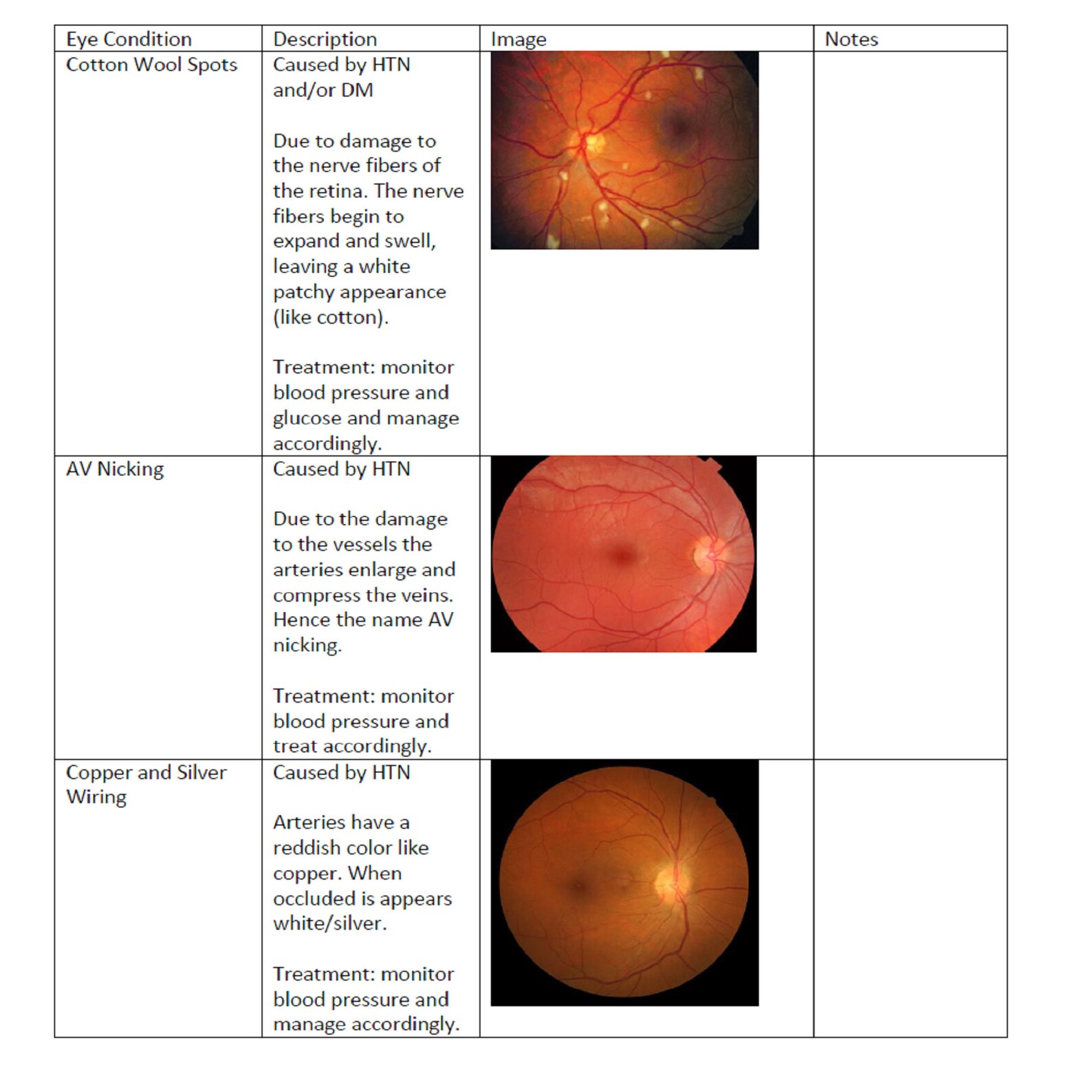 PA, NP Most Tested Eye Conditions on State Exams 2 Pages Pdf Aanc ...
