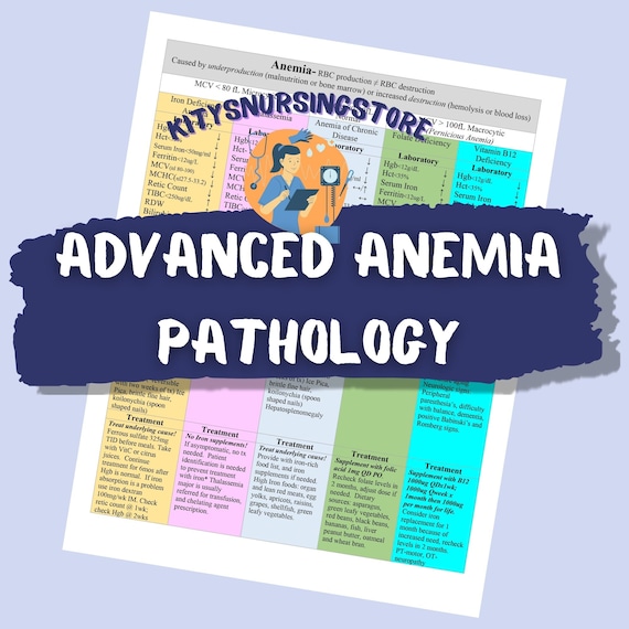 Anemia Flow Chart 1 Page Very Colorful Advanced Pathology | Etsy