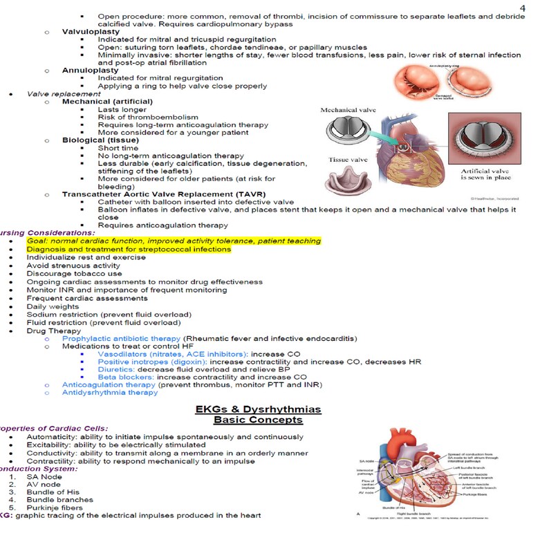 Amazing RN Cardiology Unit Notes 20 Pages I Got A on My Exam - Etsy