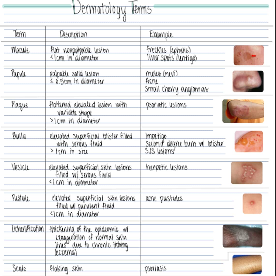 Dermatology Skin Conditions 2 Pages Printable Pdf Immediate Download - Etsy Dermatology Skin Conditions 2 Pages Printable Pdf Immediate Download - Etsy