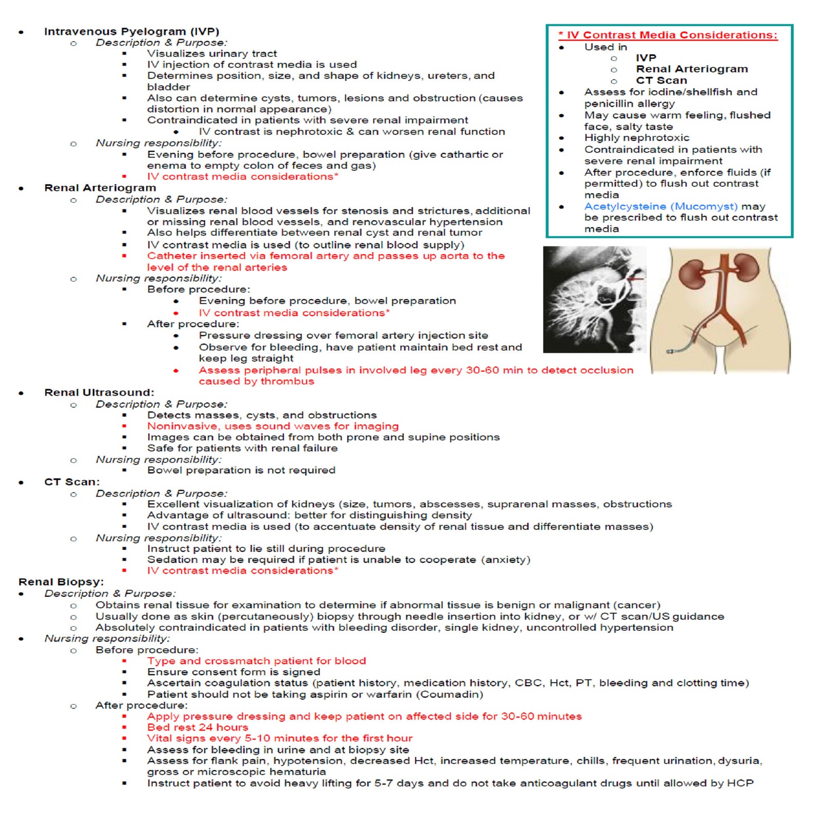 Urinary System Review Notes for Nurses 14 Pages - Etsy