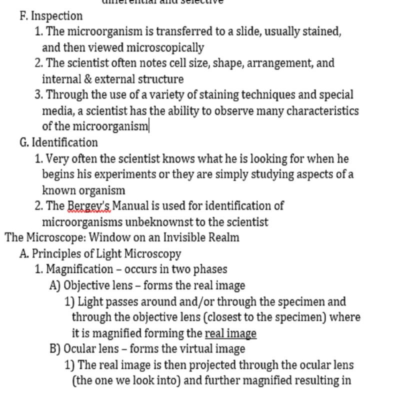 Microbiology Notes / Study Guide for Nursing Students 80 Pages - Etsy