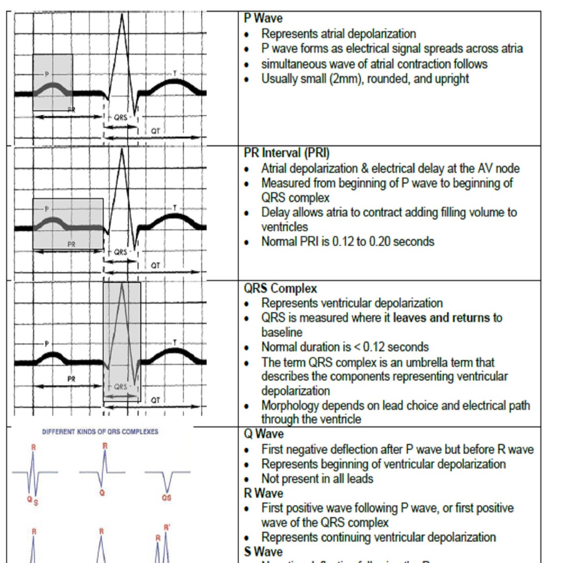 Nursing Pre-employment EKG Strip Exam Study Guide 40 Pages PDF File ...