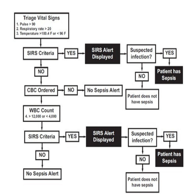 Sepsis, Shock and Mods Nursing Critical Care Notes 12 Pages - Etsy