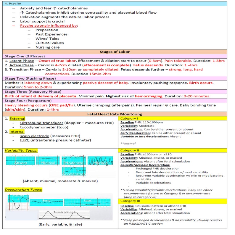 Normal Birth Labor and Delivery Study Notes 4 Pages - Etsy