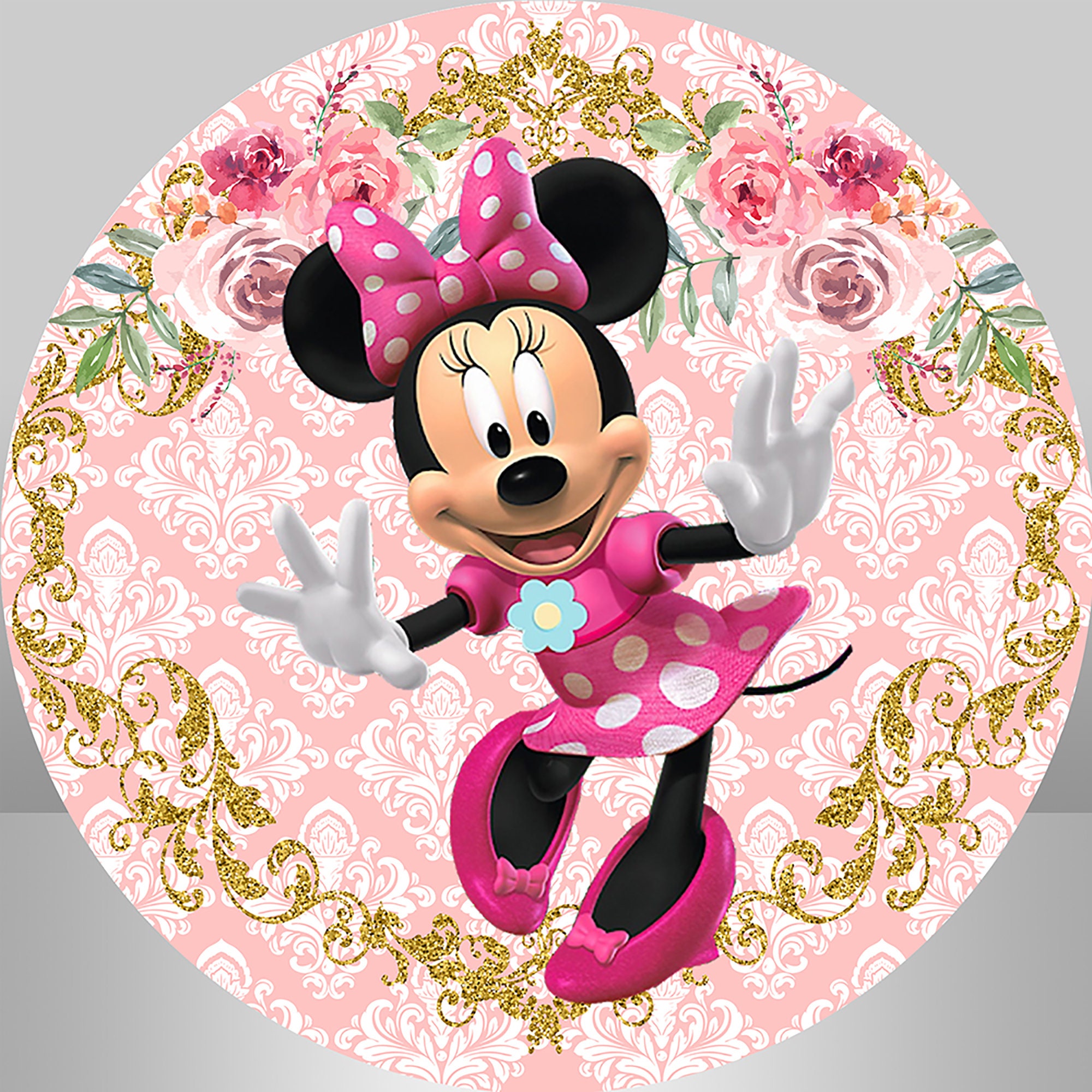 Photo Booth Cartoon Pink Minnie Mouse Round Circle Backdrops | Etsy