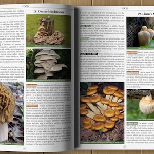 Wilderness Long-term Survival Guide - Etsy