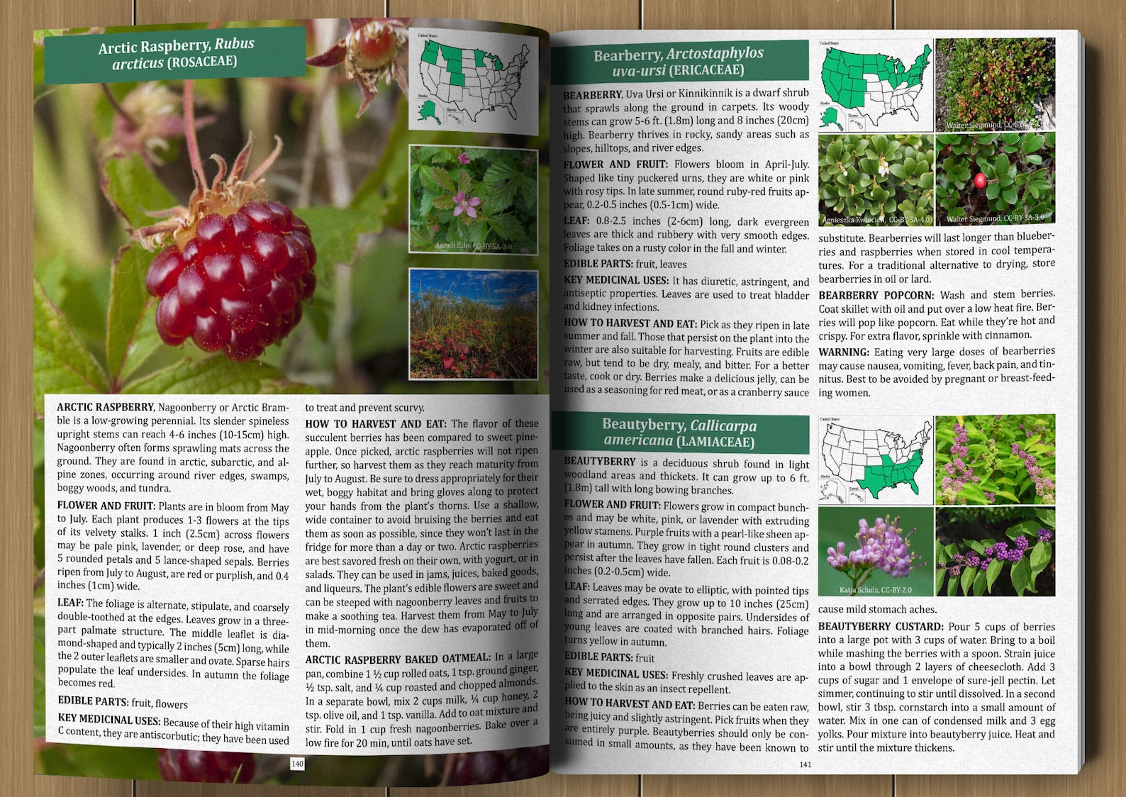 The Foragers Guide to Wild Foods - Etsy