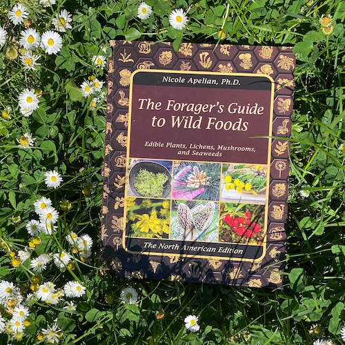 The Northwest Forager's Pocket Guide to Wild Edible - Etsy