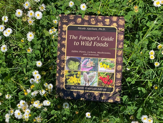 The Foragers Guide to Wild Foods - Etsy