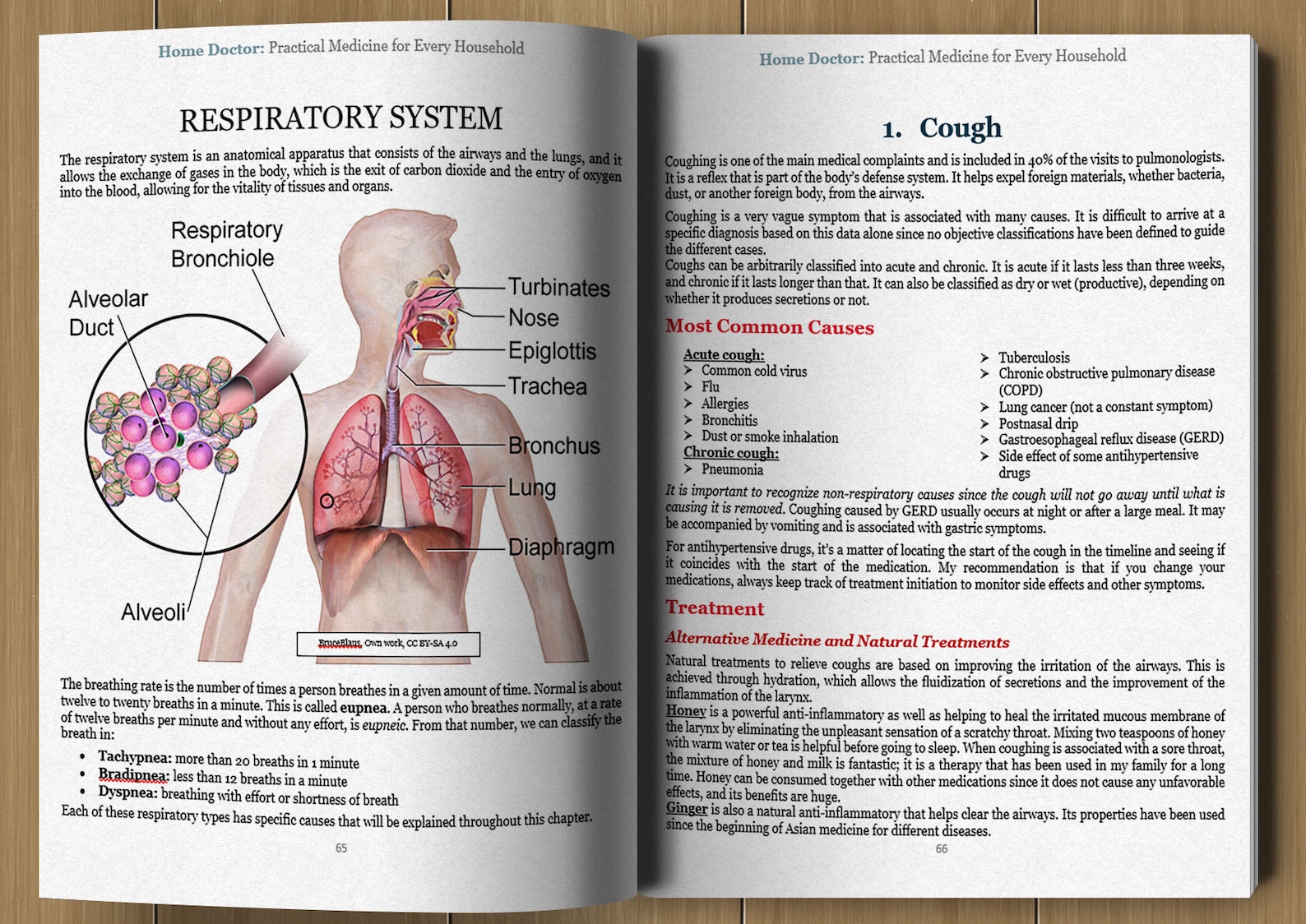 The Home Doctor Practical Medicine for Every Household - Etsy