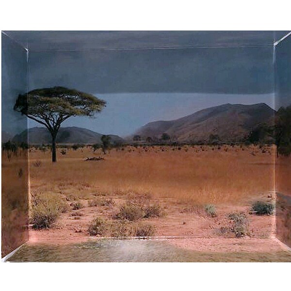 African Photo Backdrop - Etsy