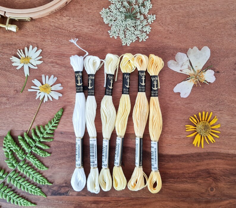 Anchor Embroidery Thread Color Palette Green Blue Yellow - Etsy