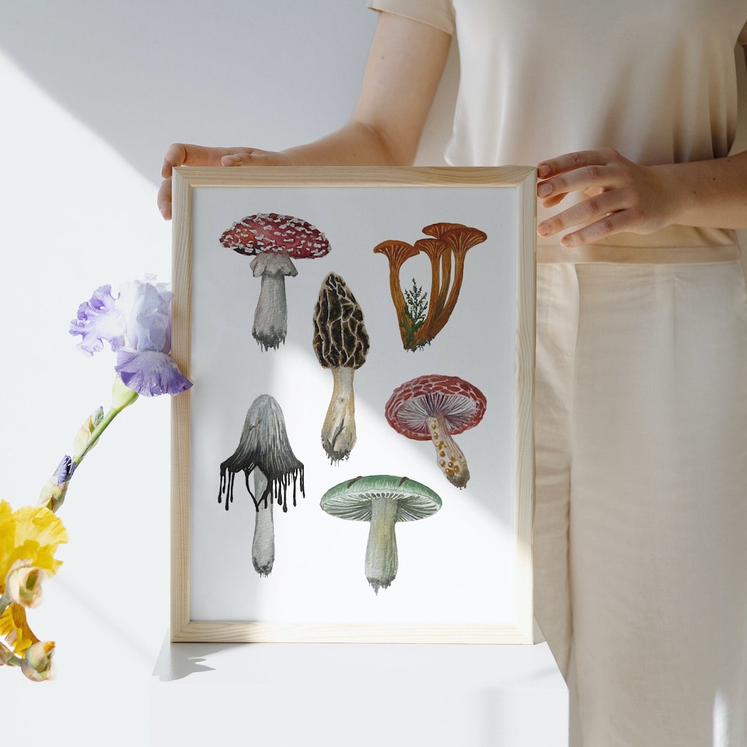 Colourful Mushrooms Botanical Illustration, Funghi Artwork, Large A3 ...