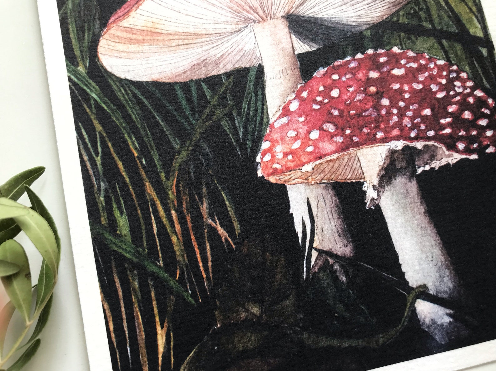 Toadstools High Quality Art Print Realistic Painting Foresty - Etsy