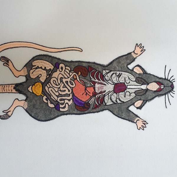 Dissection Art - Etsy