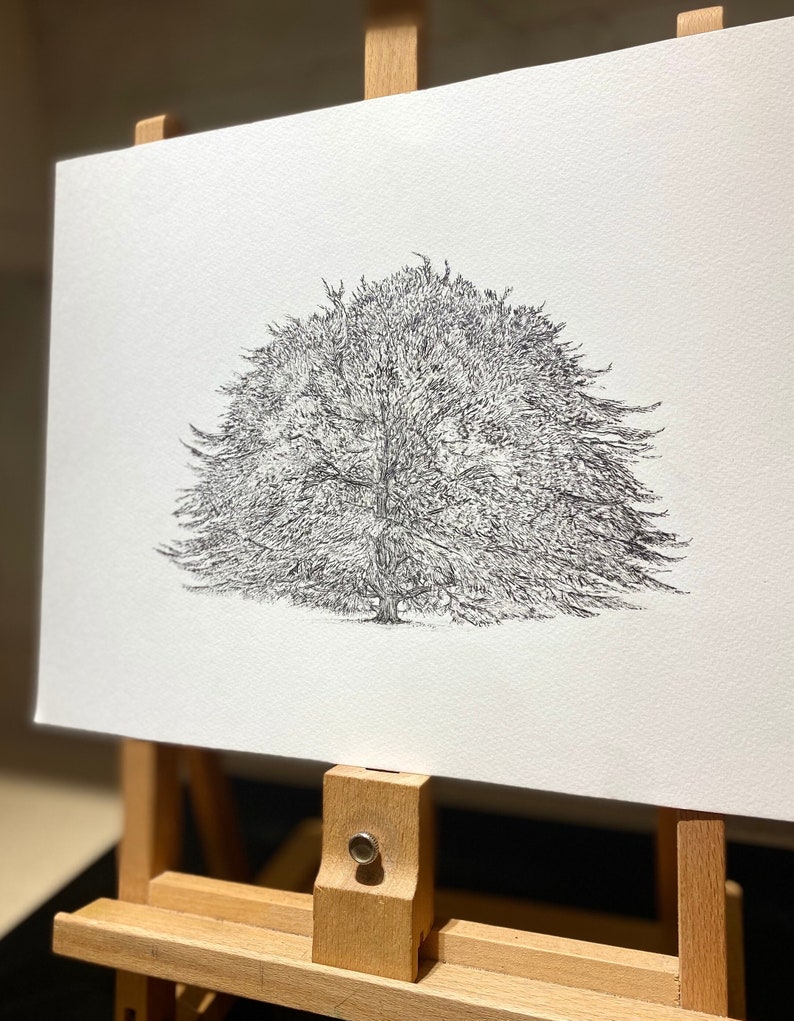 Yew Original Ink Tree Drawing. Hand Drawn Fine Line. Black and White ...