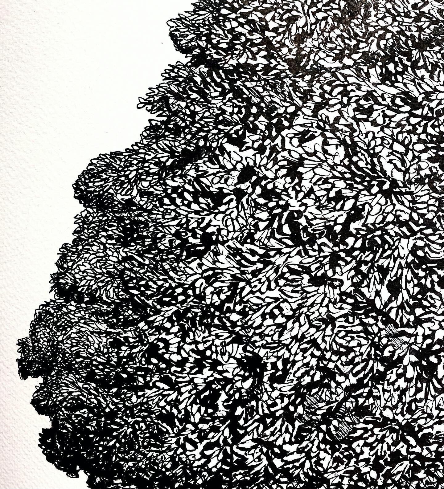 Fine Line Ink Drawing. Beautiful Tree. Original Large Wall Artwork ...