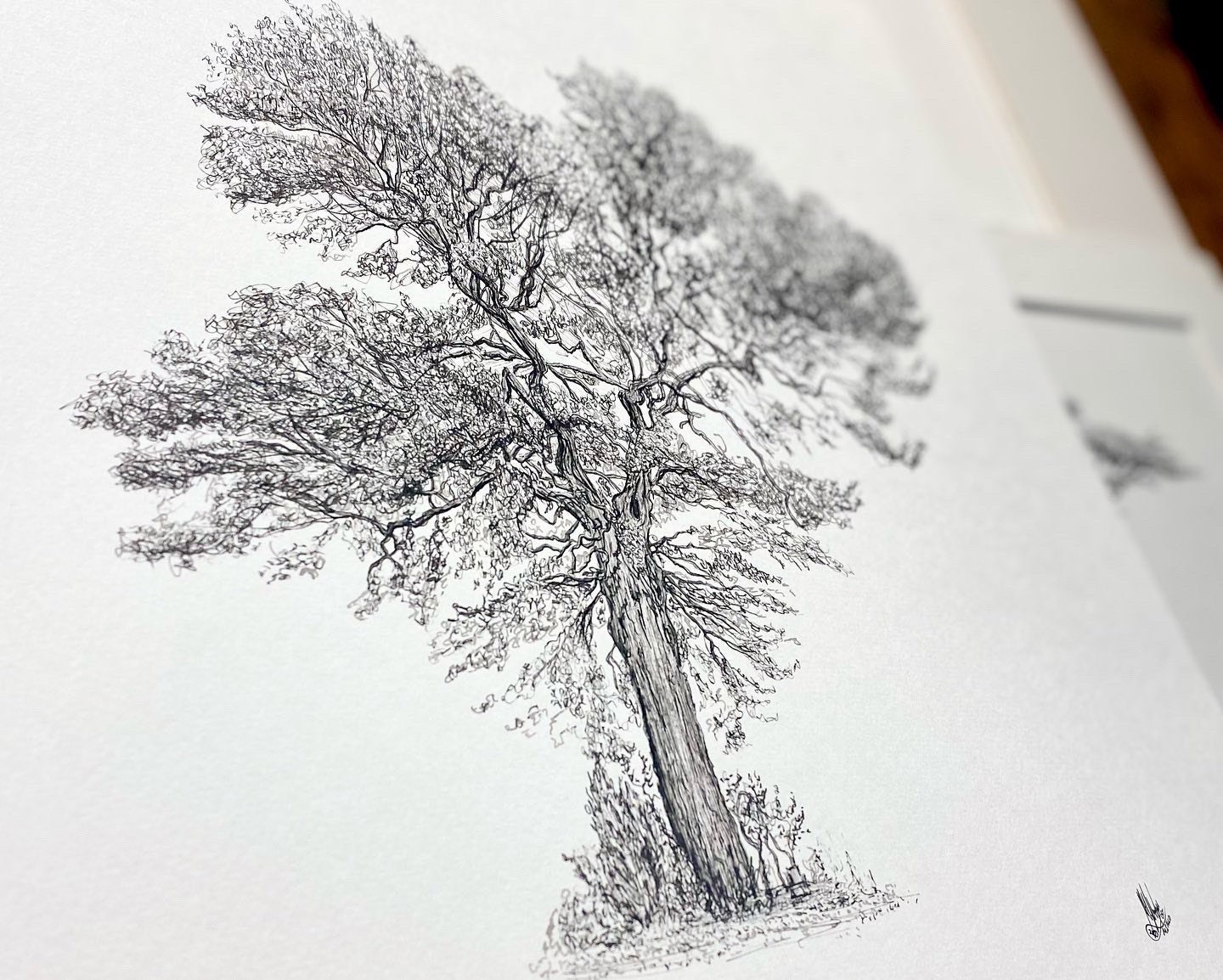 Tree Portrait Custom Ink Drawing. an Original Hand Drawn - Etsy
