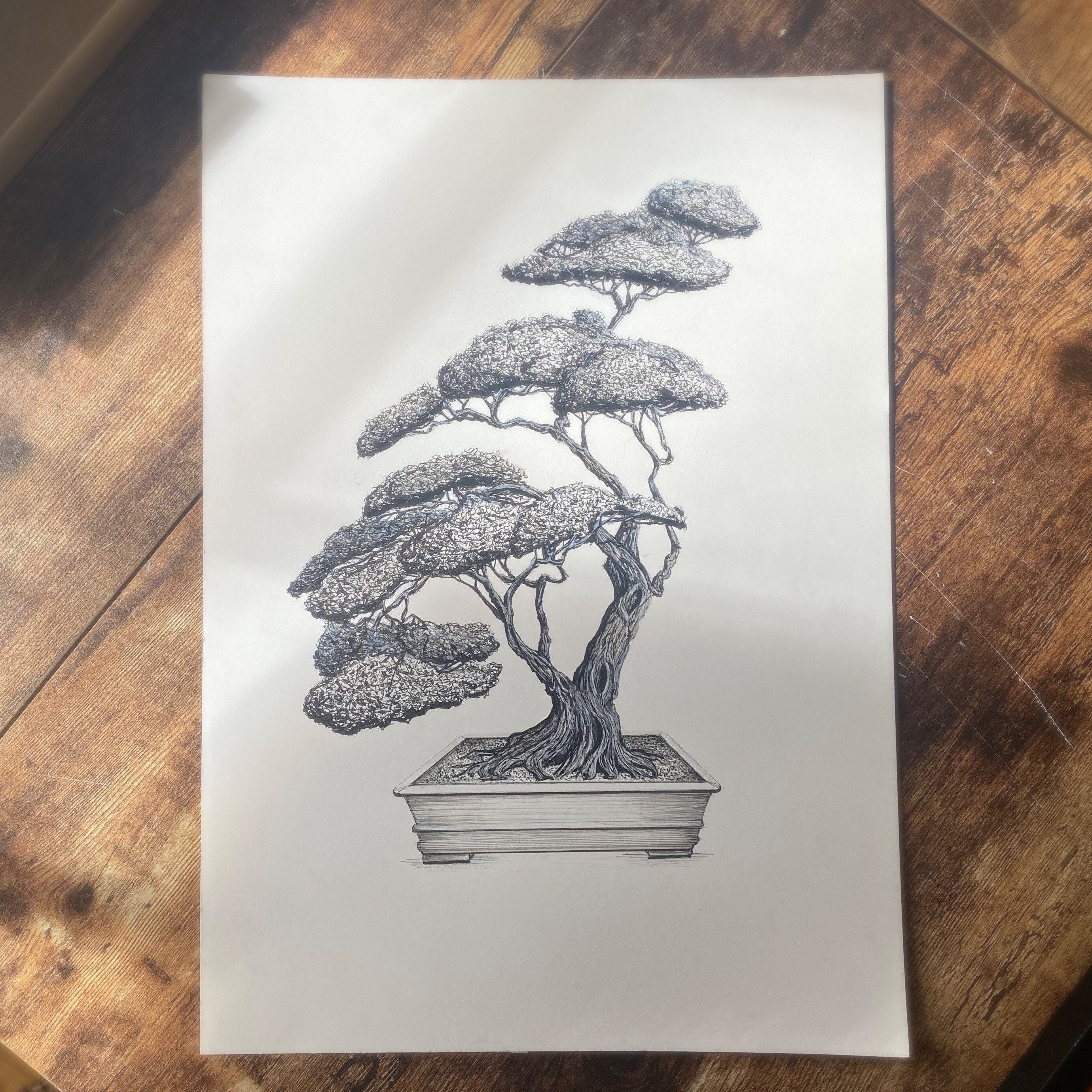 Bonsai Tree Sketch