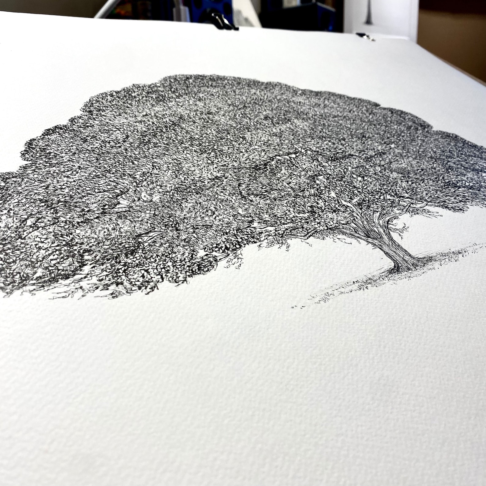 Ink Tree Oak Large Landscape Wall Artwork. Hand Drawn, Original Artist ...