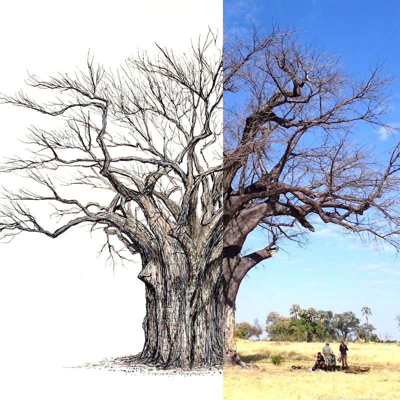 Tree Drawing Digital Art - Etsy