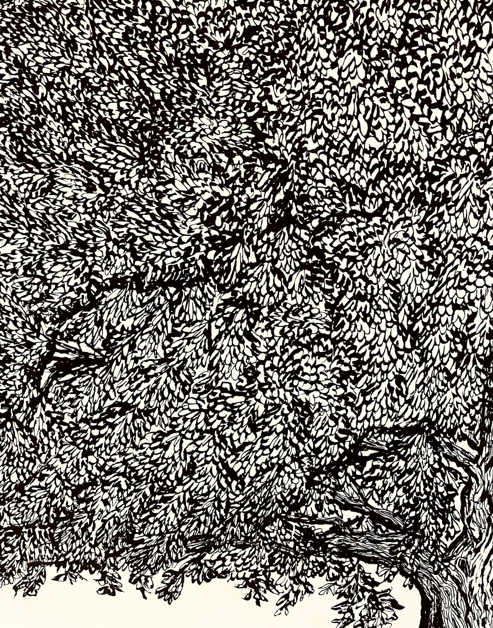 Fine Line Tree Original Large Wall Artwork. Pen and Ink Drawing. Black ...