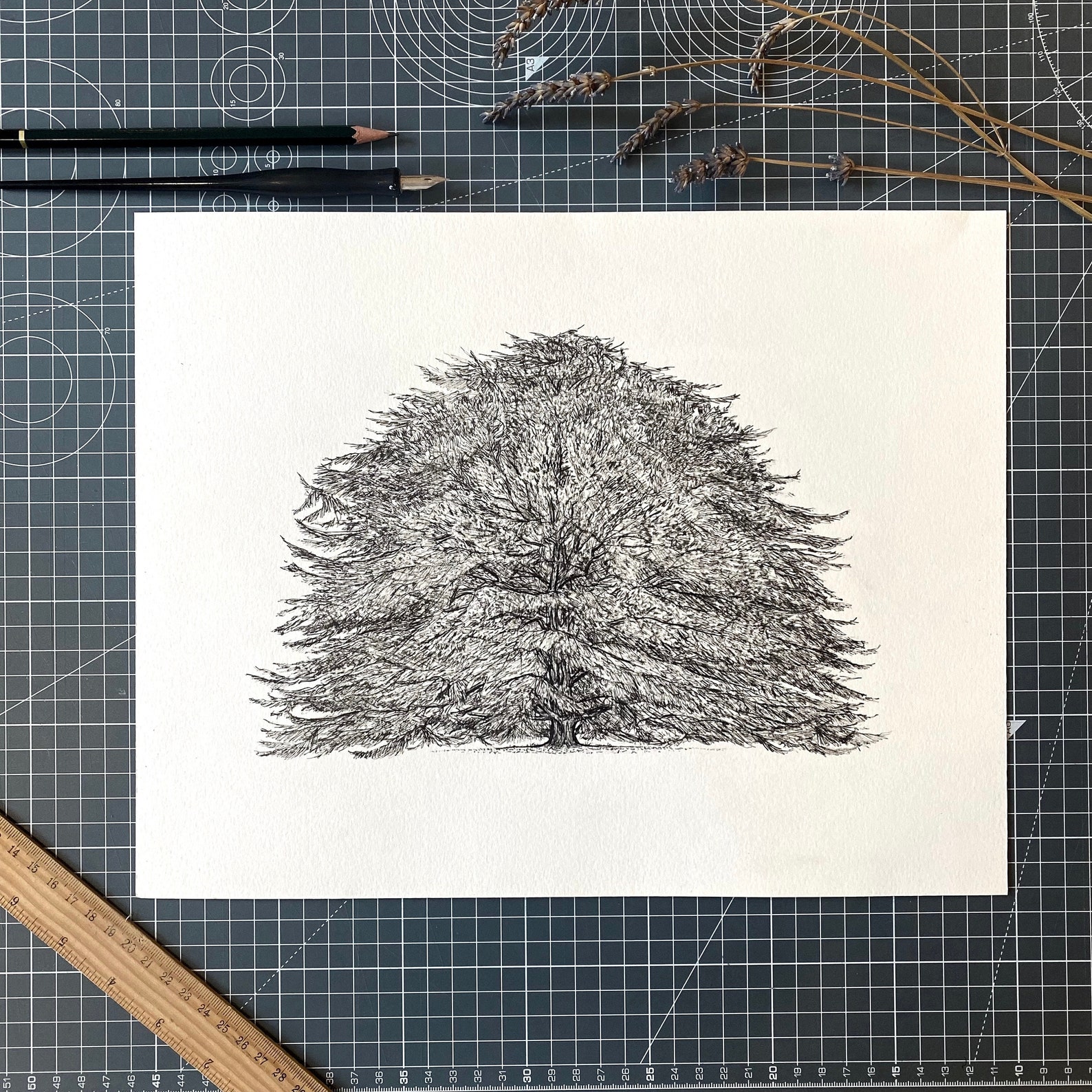 Yew | Original Ink Tree Drawing. Hand Drawn Fine Line. Black and White ...