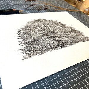 Yew | Original Ink Tree Drawing. Hand Drawn Fine Line. Black and White ...
