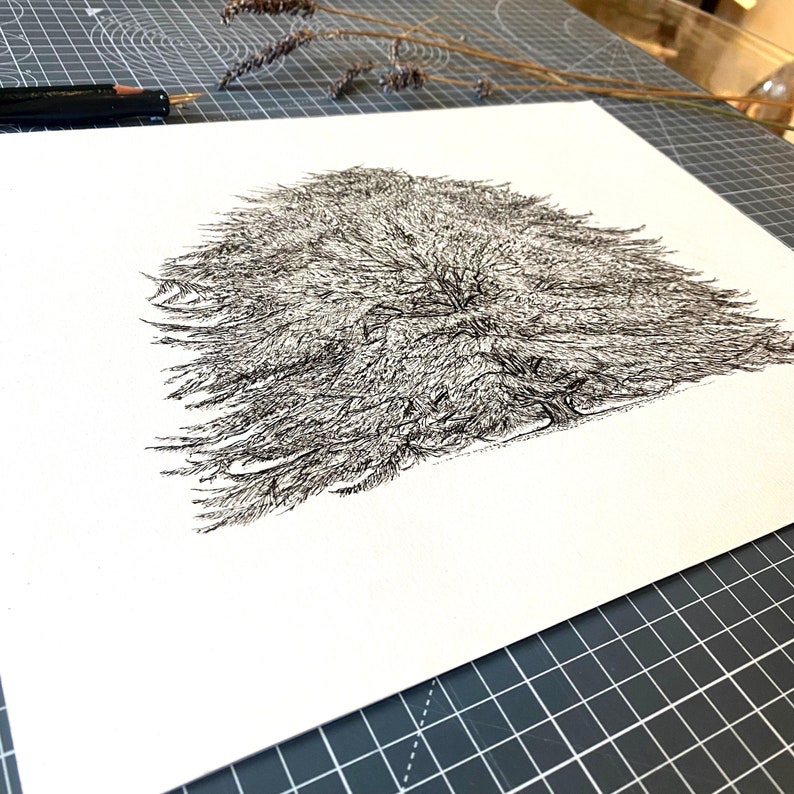 Yew | Original Ink Tree Drawing. Hand Drawn Fine Line. Black and White ...