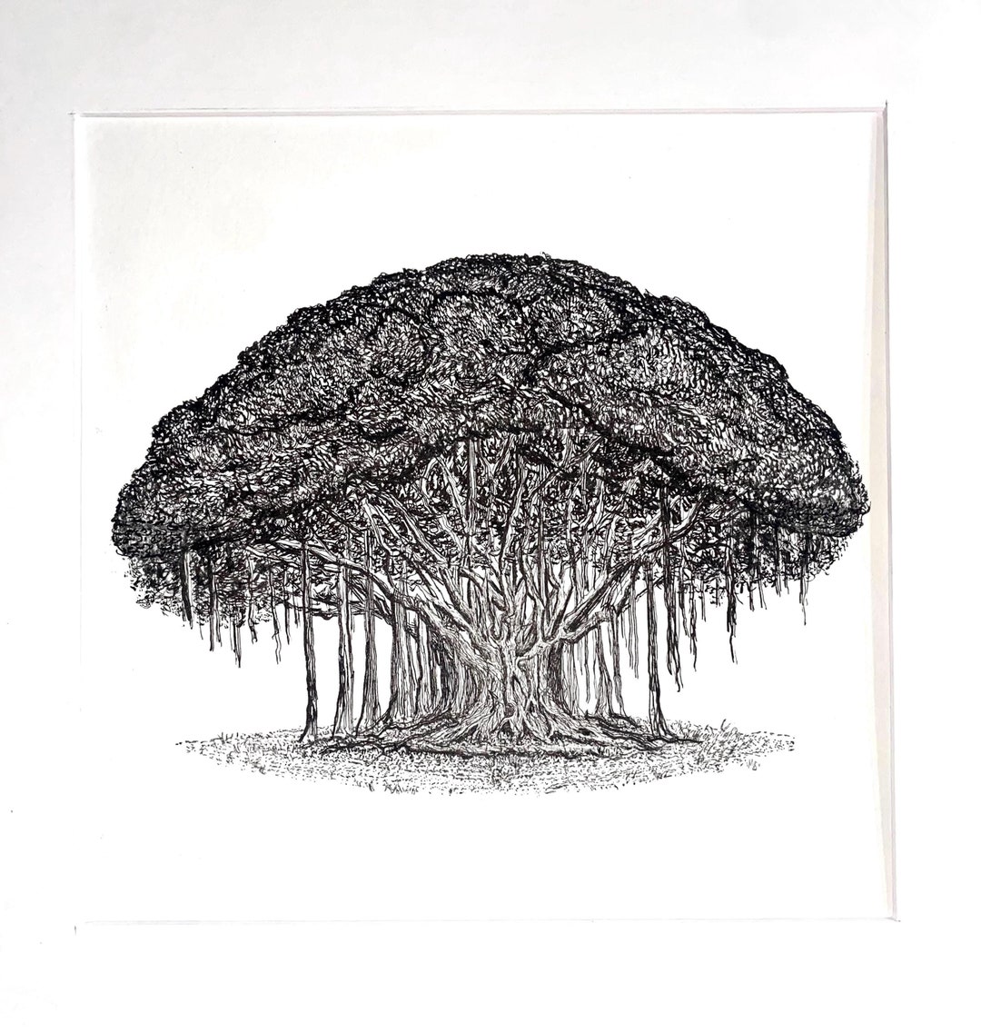 The Banyan | ORIGINAL Fine Ink Drawing. Tree Artist. Black White Pen ...
