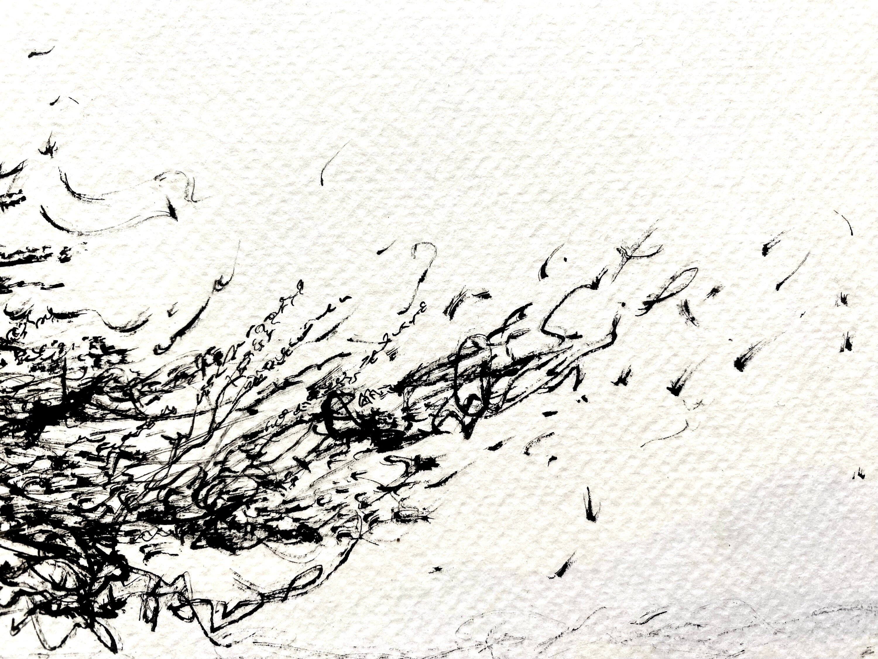 Windswept Hawthorn Original Ink Tree Large Landscape Wall Artwork Pen ...