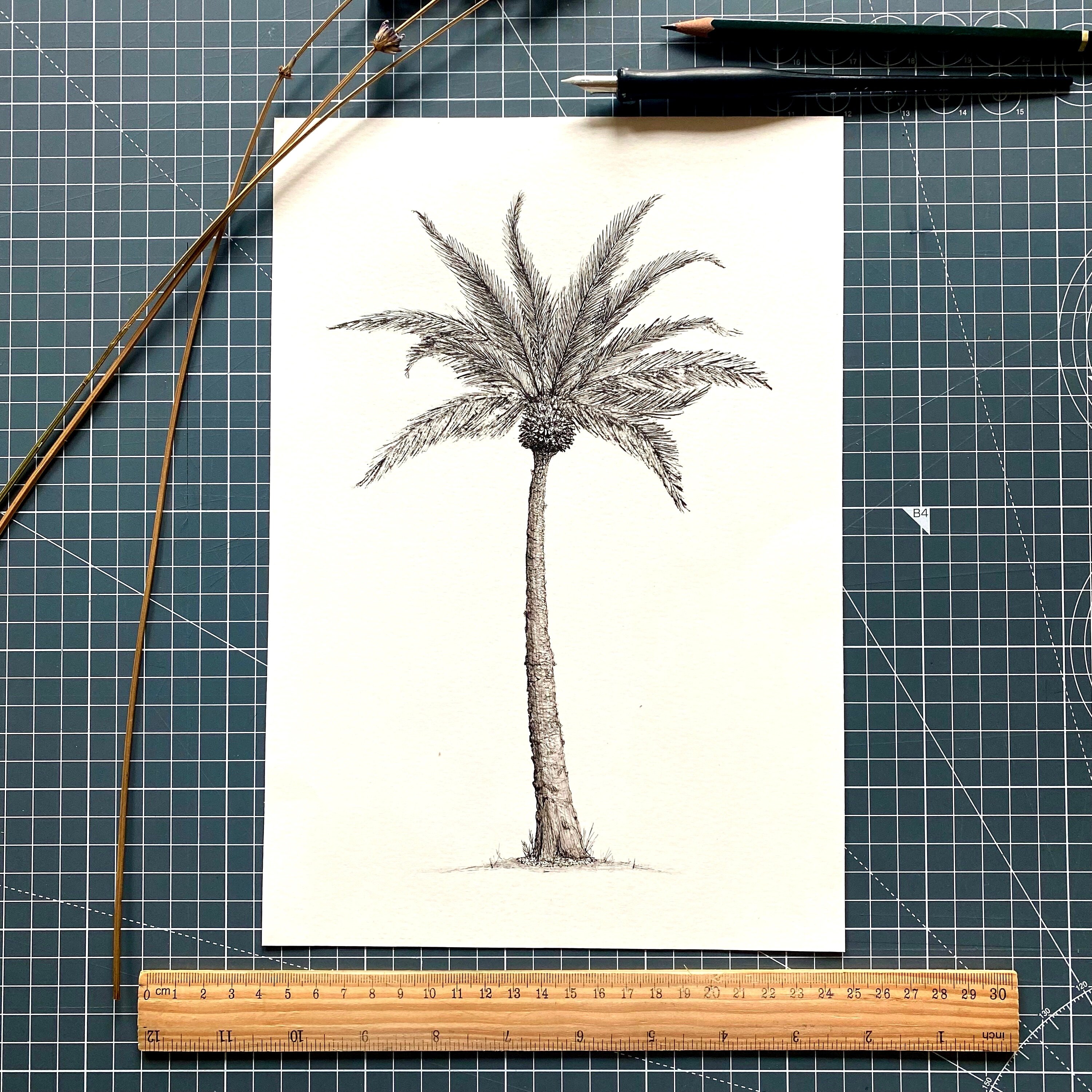 How To Draw A Realistic Palm Tree