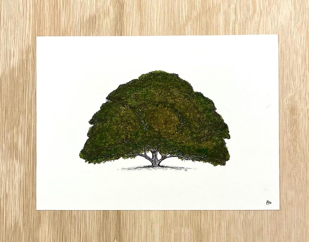 Leafy Elm ORIGINAL Tree Artist Fine Line Ink With Watercolour, Highly ...