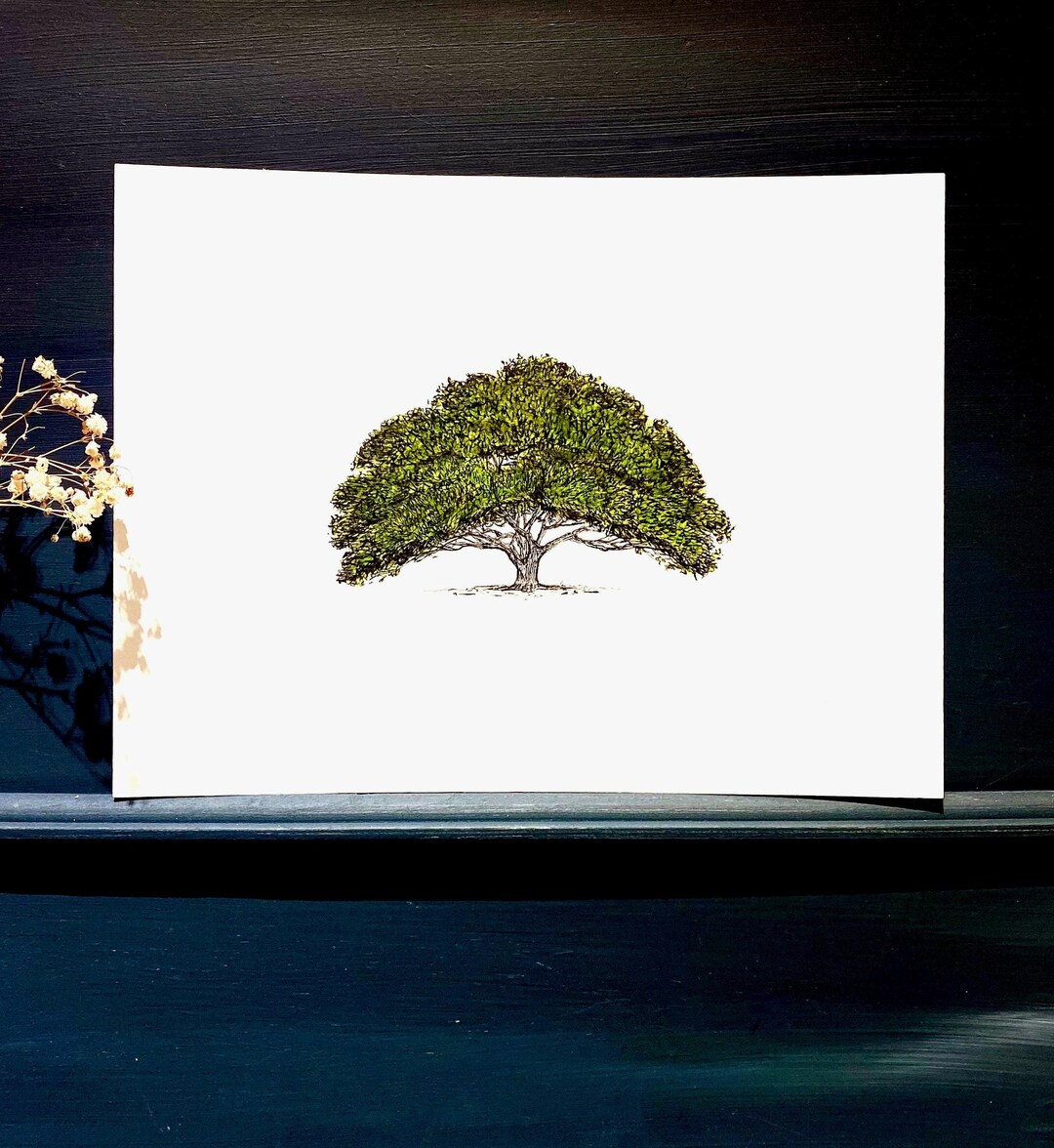 Sycamore Tree ORIGINAL Ink and Watercolour. Tree Artist Hand Drawn ...