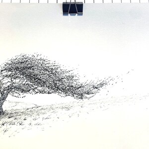 Windswept Hawthorn Original Ink Tree Large Landscape Wall Artwork Pen ...