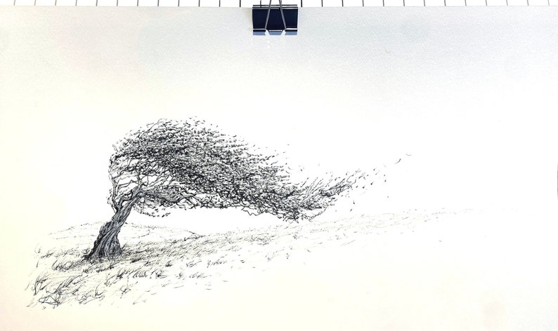 Windswept Hawthorn Original Ink Tree Large Landscape Wall Artwork Pen ...