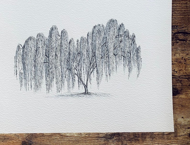 Willow Tree Original Ink Drawing. Black and White Fine Line - Etsy
