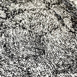 Large Banyan Ficus Tree | Original Fine Line Ink Artwork, Black and ...