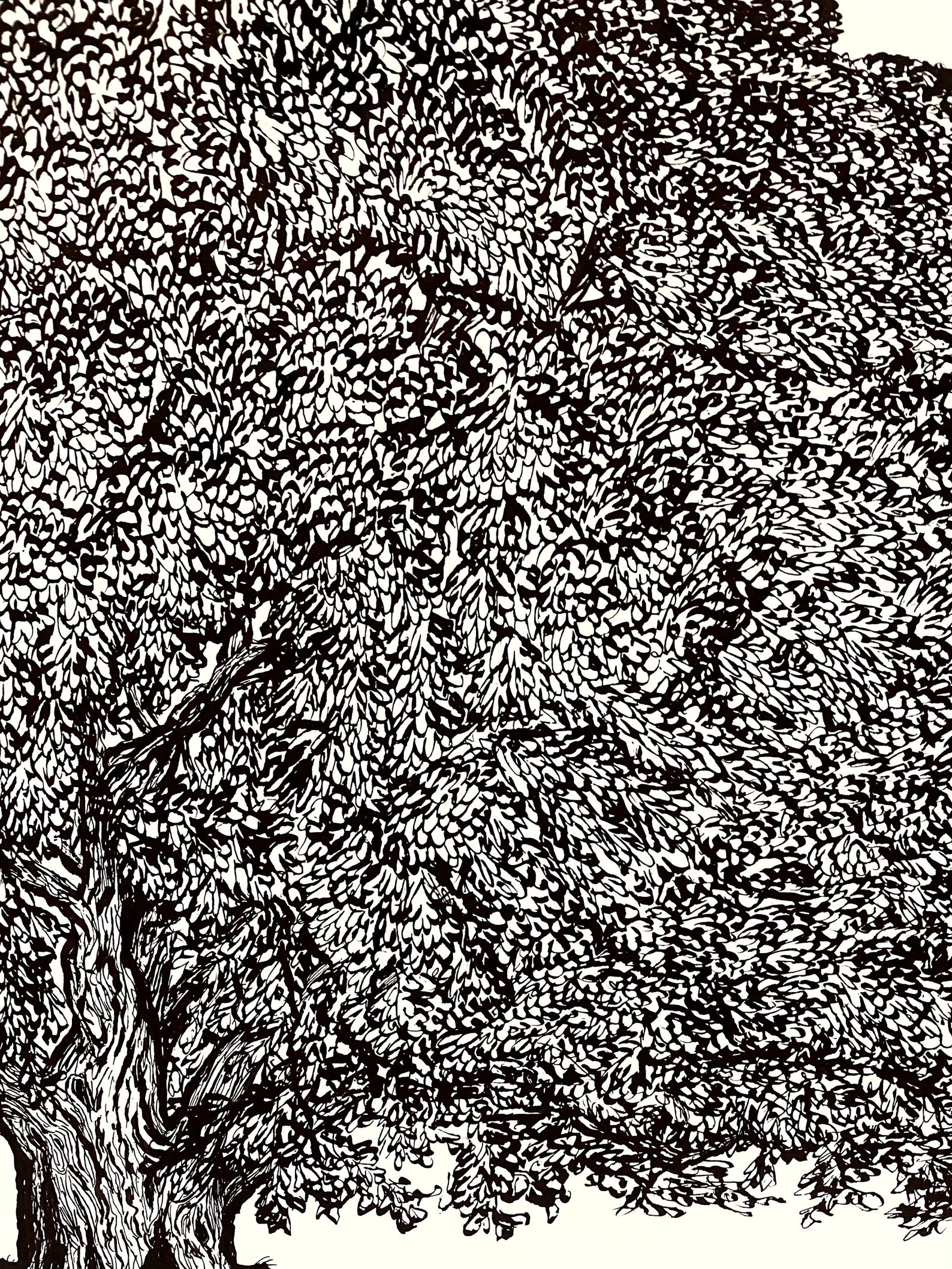 Fine Line Tree Original Large Wall Artwork. Pen and Ink Drawing. Black ...