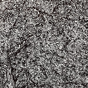 Fine Line Tree Original Large Wall Artwork. Pen and Ink Drawing. Black ...