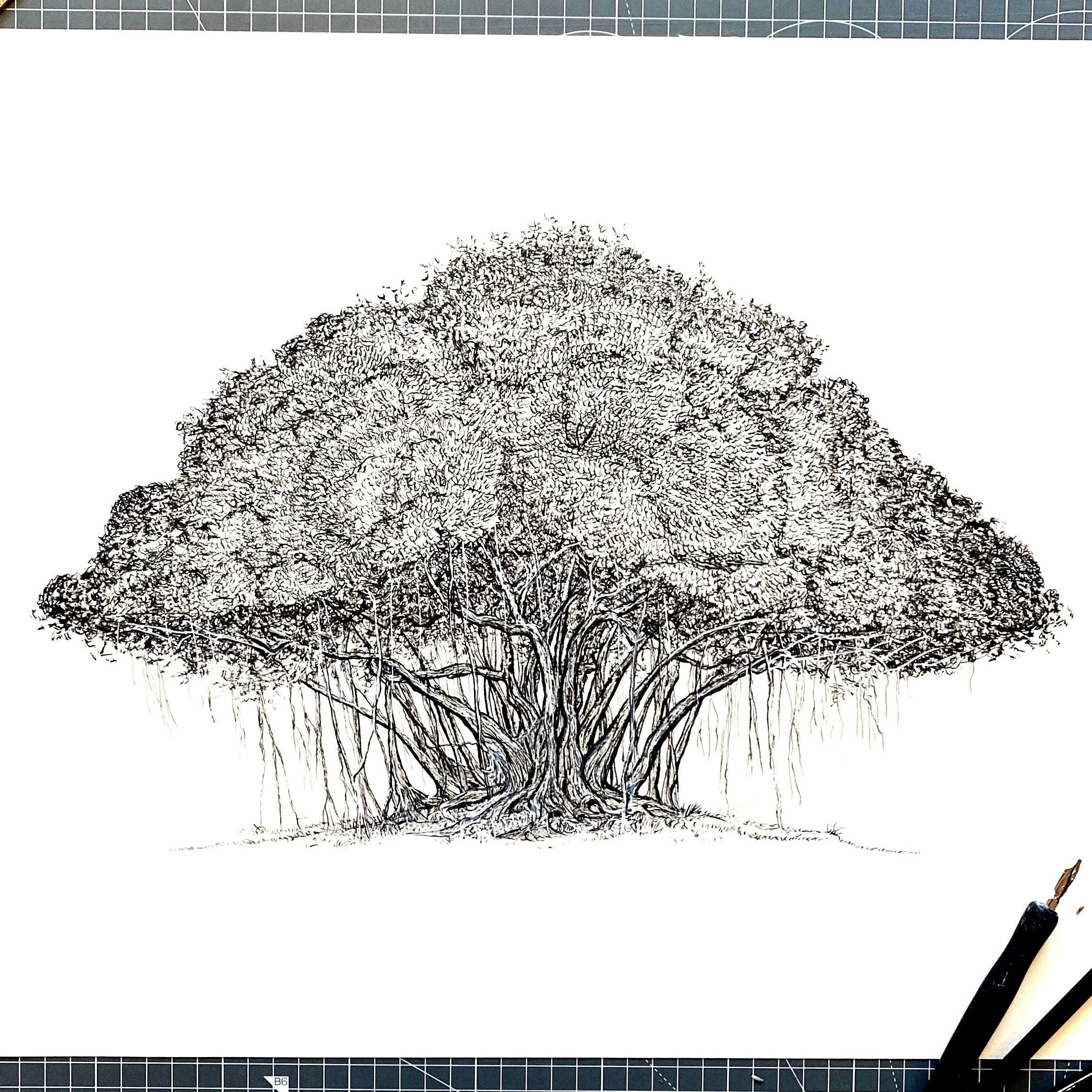 Large Banyan Ficus Tree | Original Fine Line Ink Artwork, Black and ...