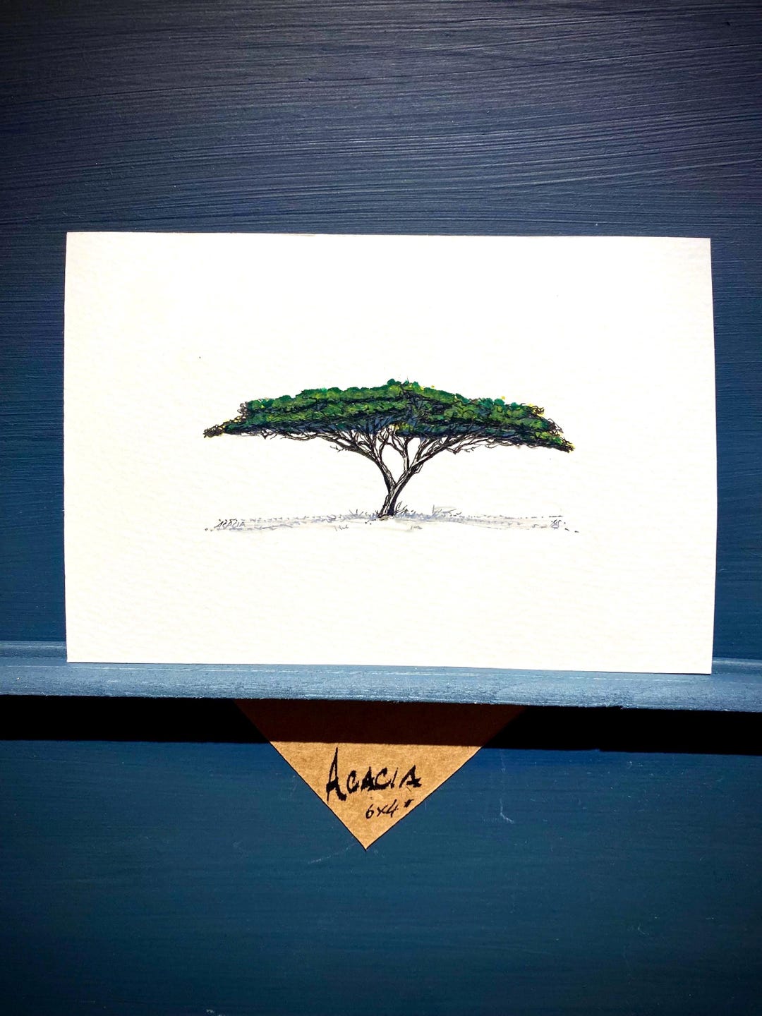 Acacia Tree | Original Hand Drawn Ink and Watercolour Artwork. African ...